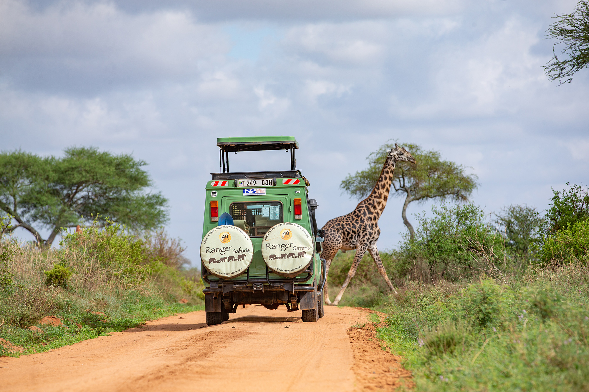 Ranger Safaris - ARP