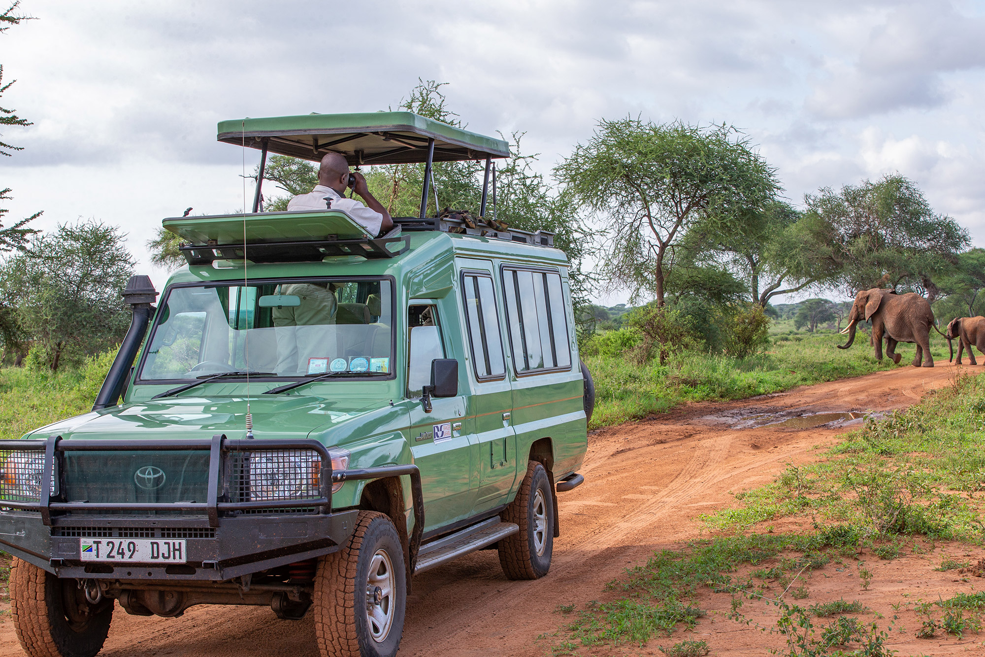 Ranger Safaris - ARP